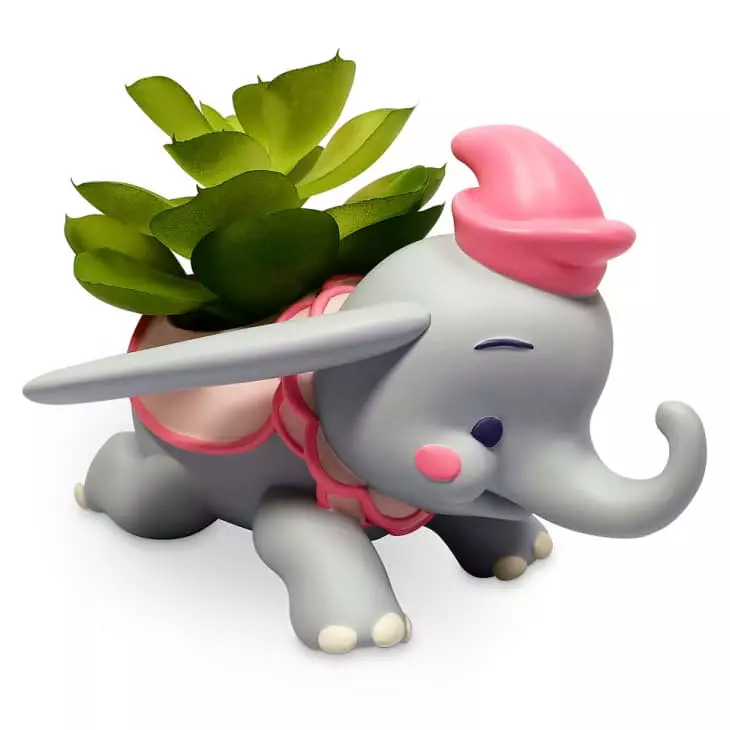 Gambar Produk: Dumbo Succulent Planter