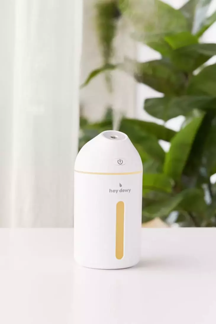 ਉਤਪਾਦ ਚਿੱਤਰ: Hey Dewy Portable Facial Humidifier