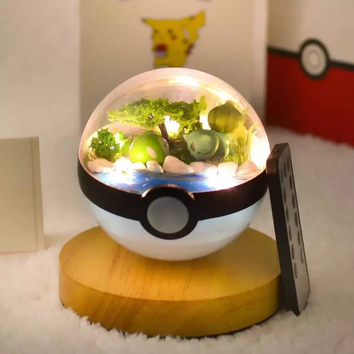 Imaj pwodwi: Pokemon Terrarium