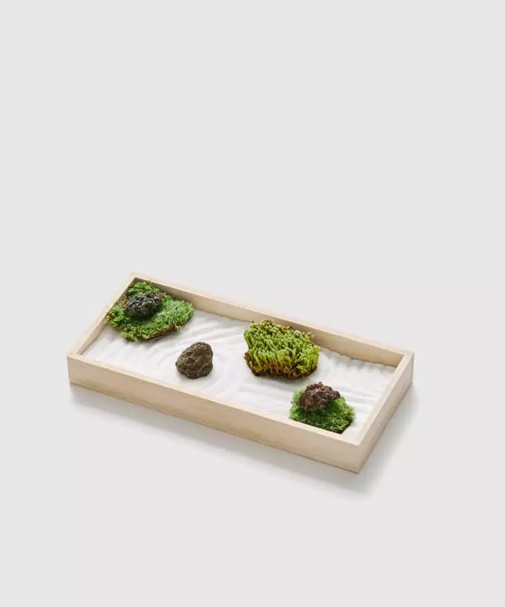 Өнім суреті: Floral Kobo Katsura жасаған жапондық Zen Moss Garden жинағы