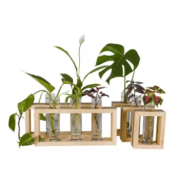 Coconino Botanical Moderne Ensemble Station De Propagation Des Plantes