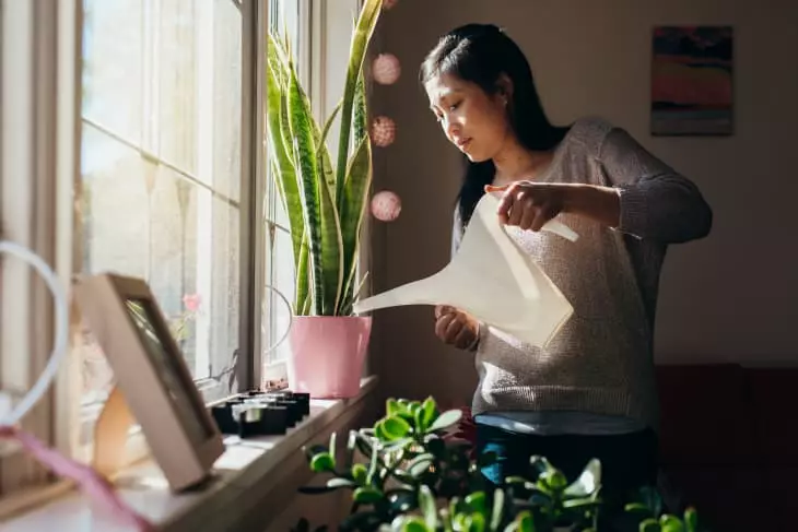 Muller rega as plantas no seu apartamento de Sydney.