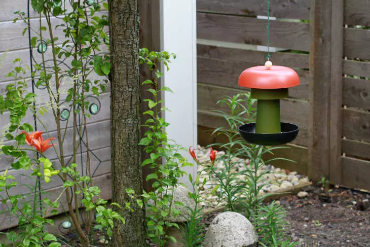 selfdoenvoëlvoerder wat in die tuin hang