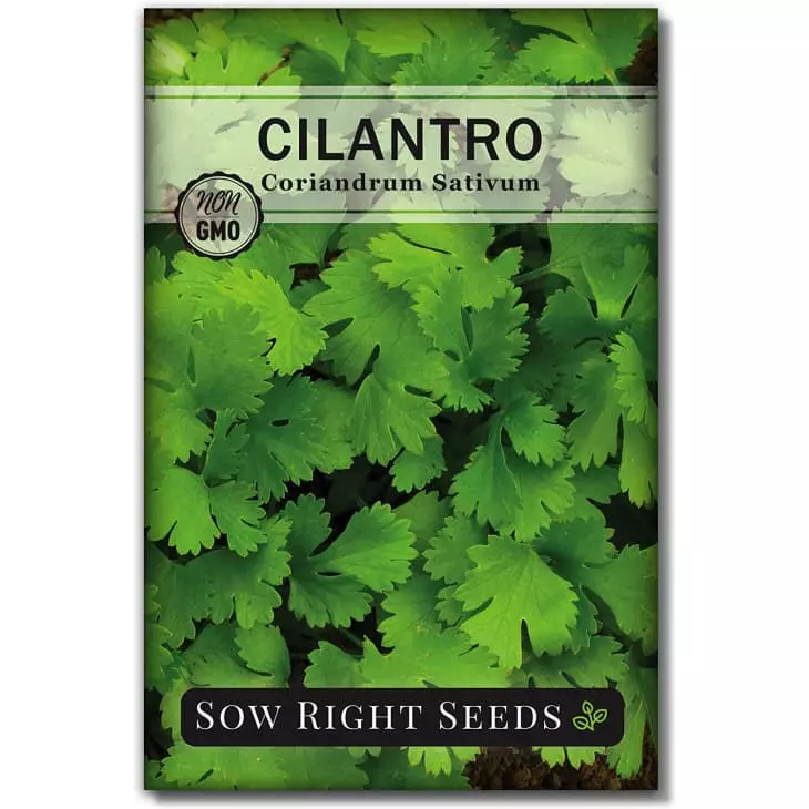 Hulagway sa Produkto: Mga Binhi sa Cilantro