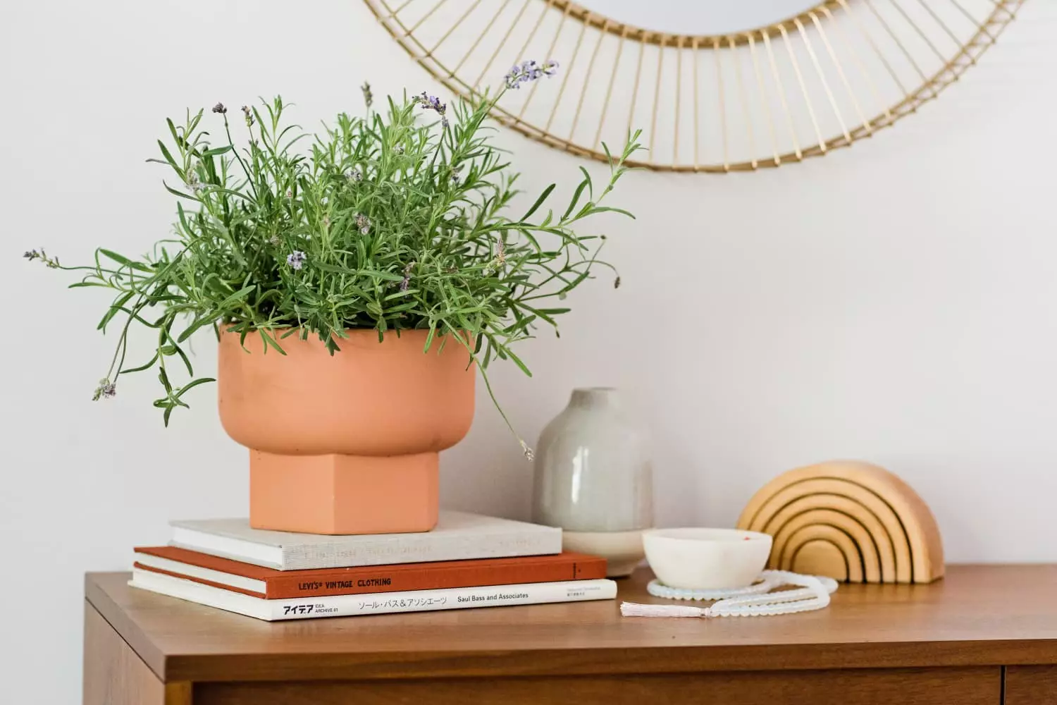 Cómo cultivar lavanda en interiores