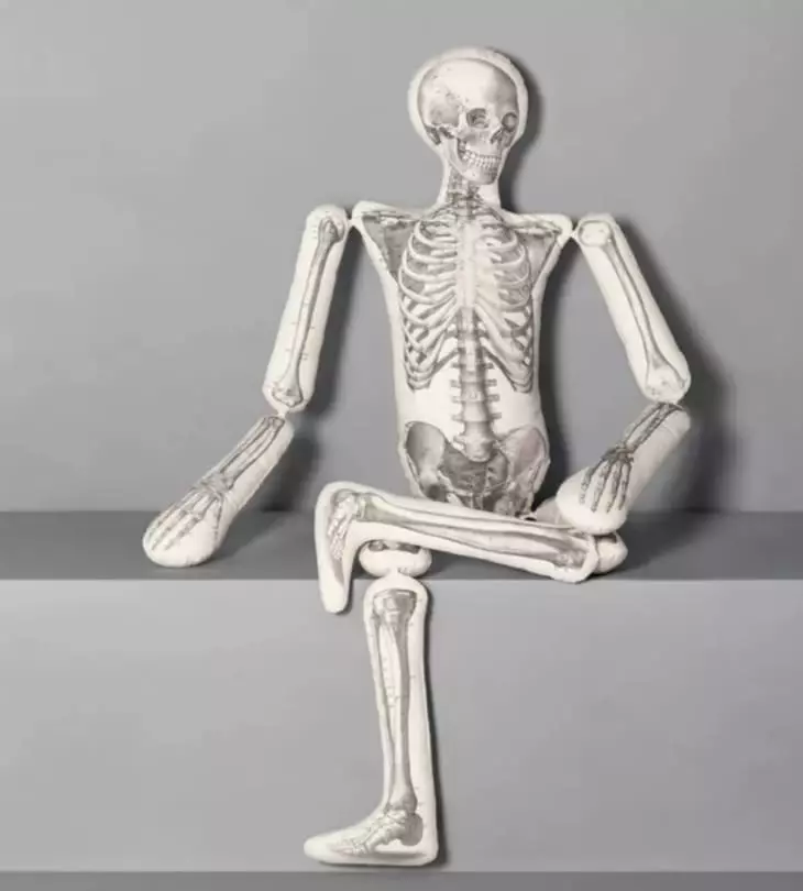 John Derian pre Target Pillow Skeleton