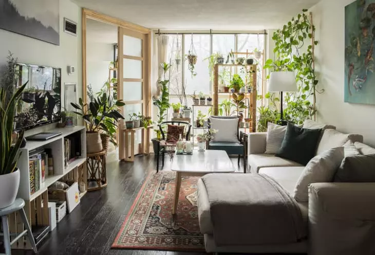 Sala d'estar plena de plantes amb secció de color crema