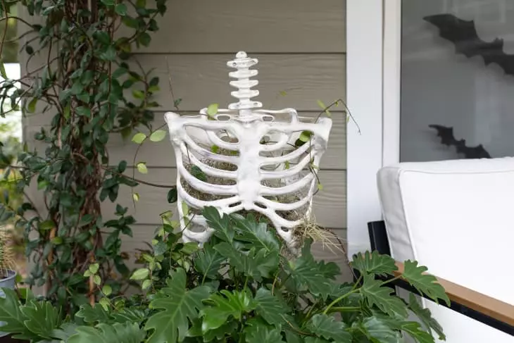 Топијар са скелетом са лажним скелетом који излази из биљке у саксији