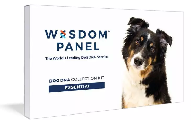 Produkto vaizdas: „Wisdom Panel“ esminis šuns DNR testas