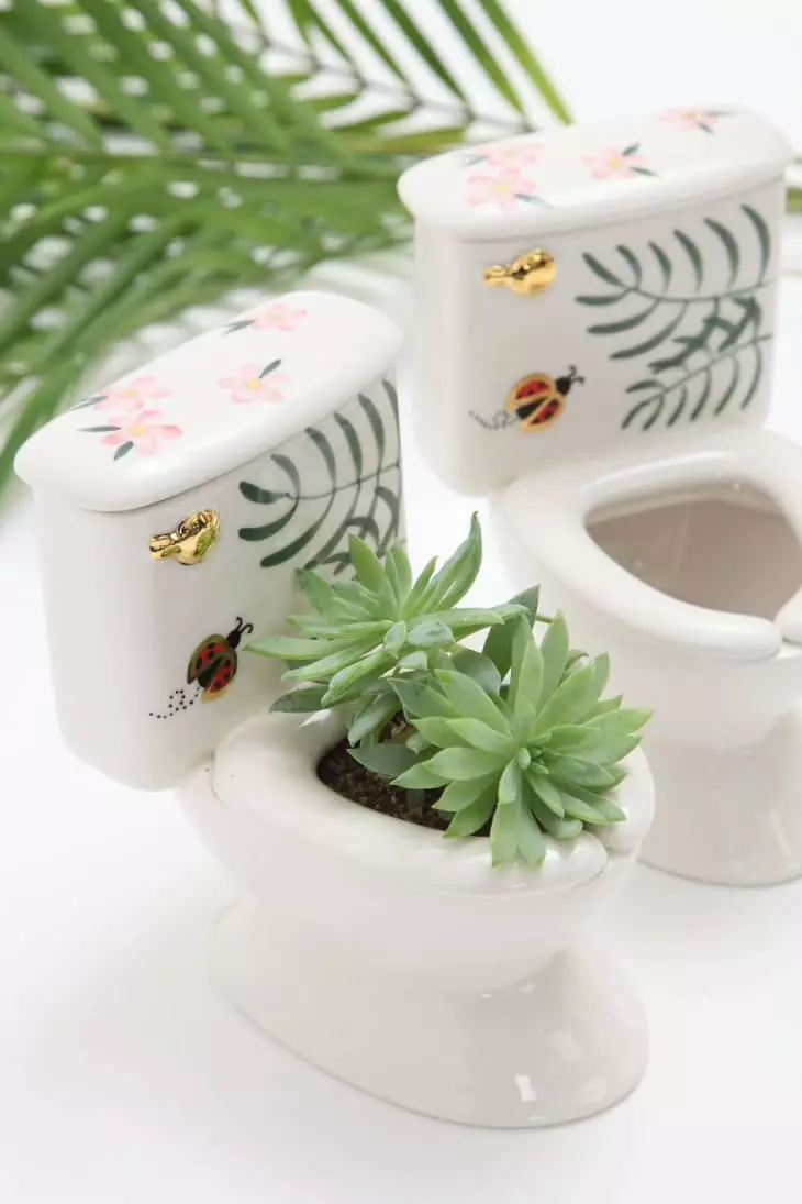 Chigadzirwa Mufananidzo: Miniature Toilet Planter