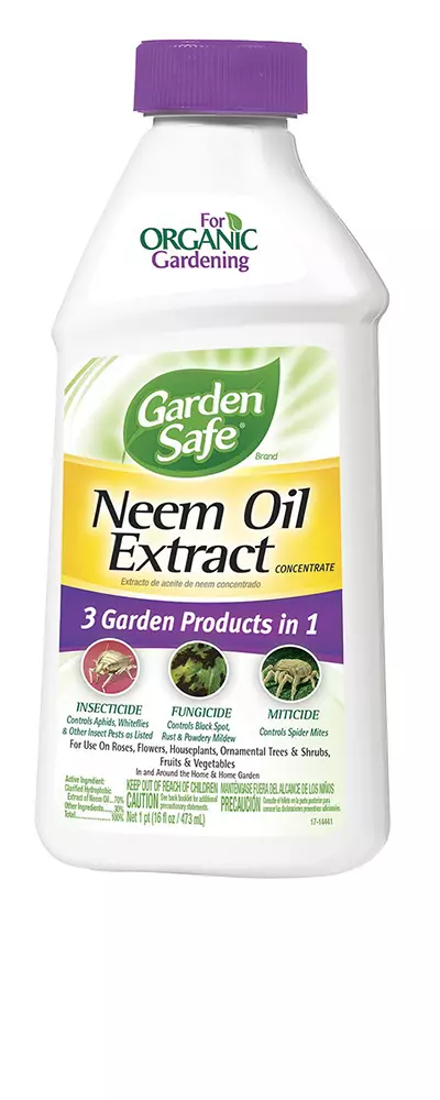 O aceite de neem é o mellor $ 10 que podes gastar nas túas plantas 20283_1