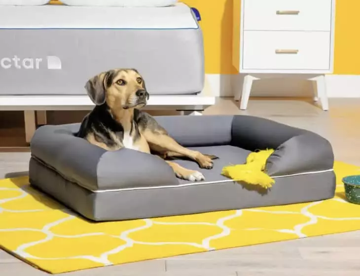 Produktbillede: Nectar Dog Bed