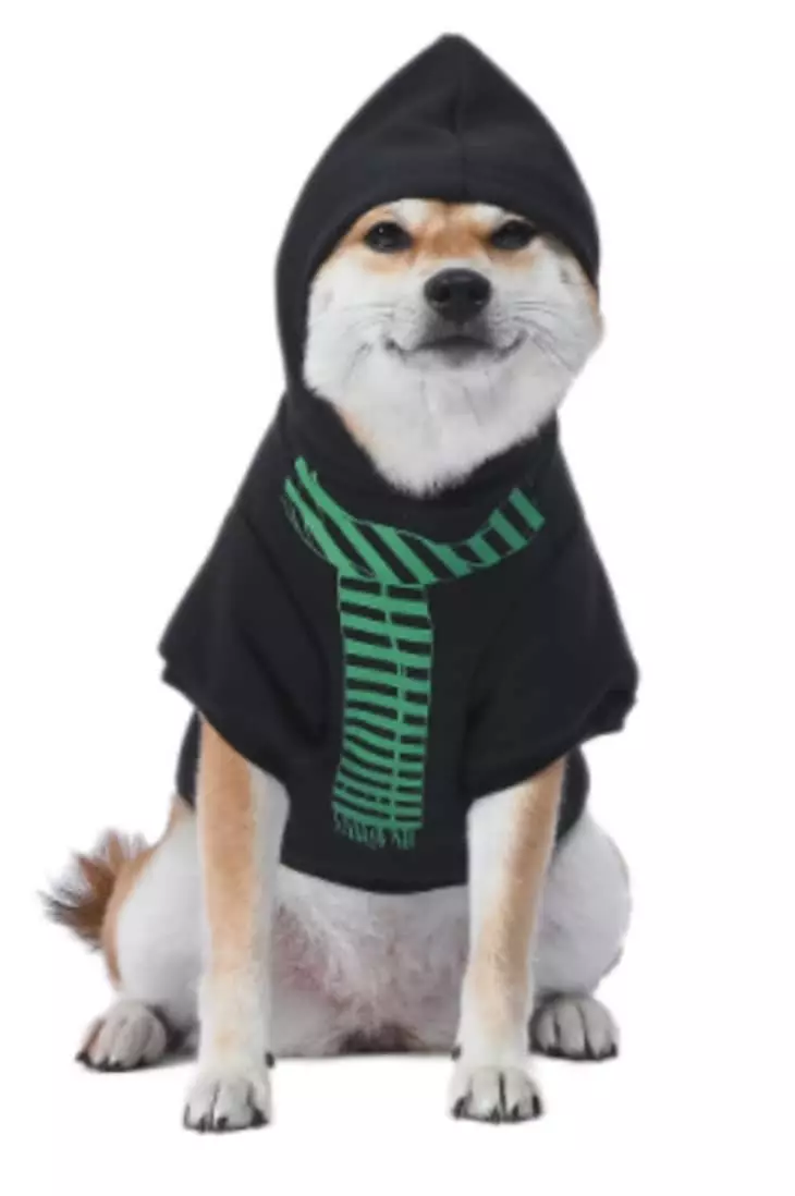 Gambar Produk: Harry Potter Wizarding World Slytherin Pet Hoodie