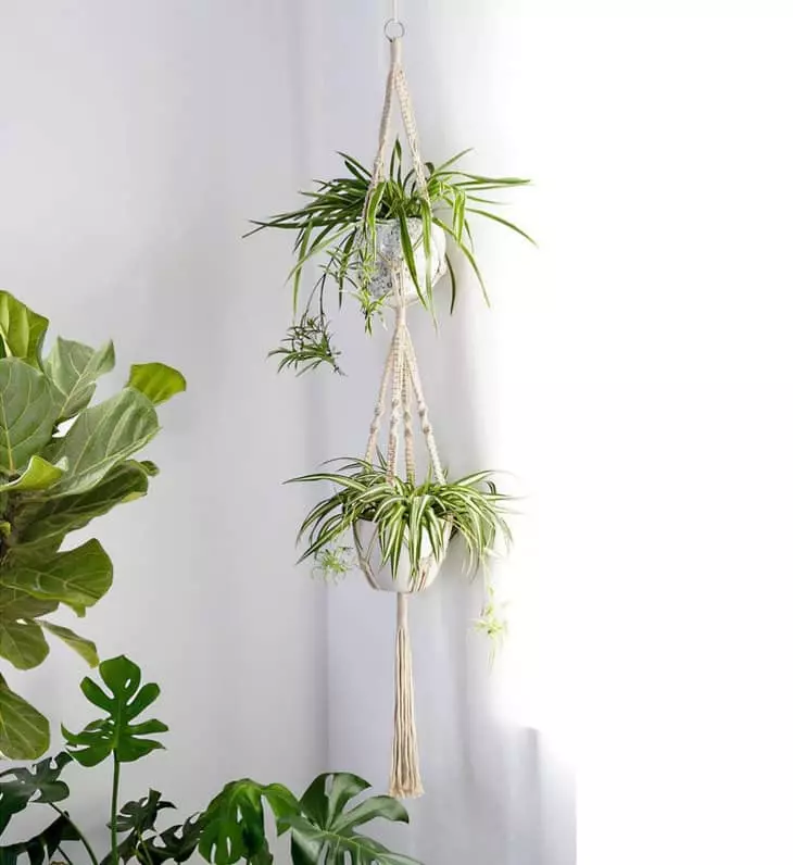 ထုတ်ကုန်ပုံ- 2-Tier Macrame Plant Hanger