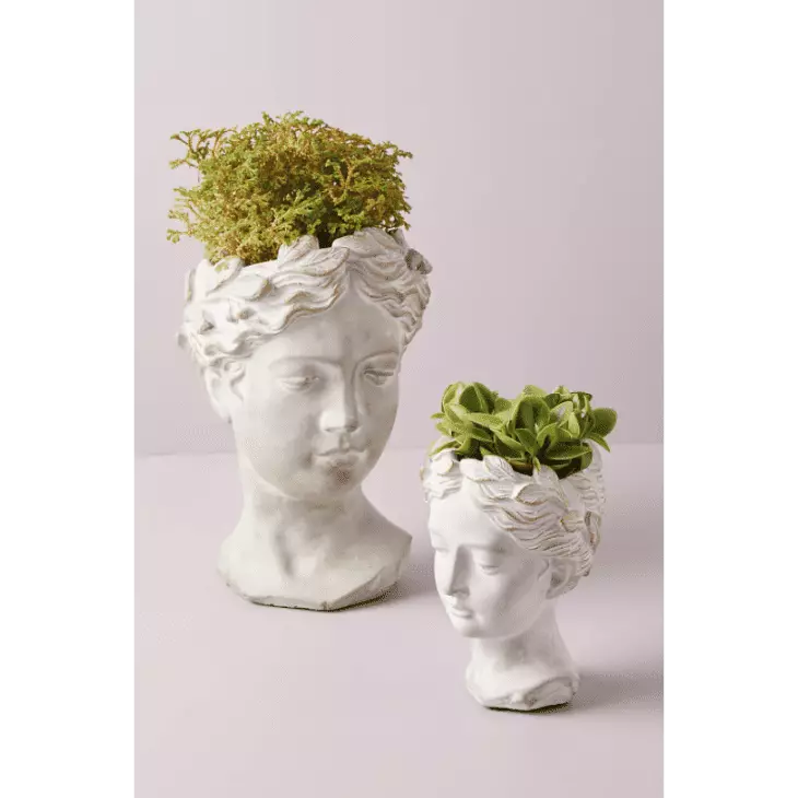 Produkta attēls: Grecian Bust Pot