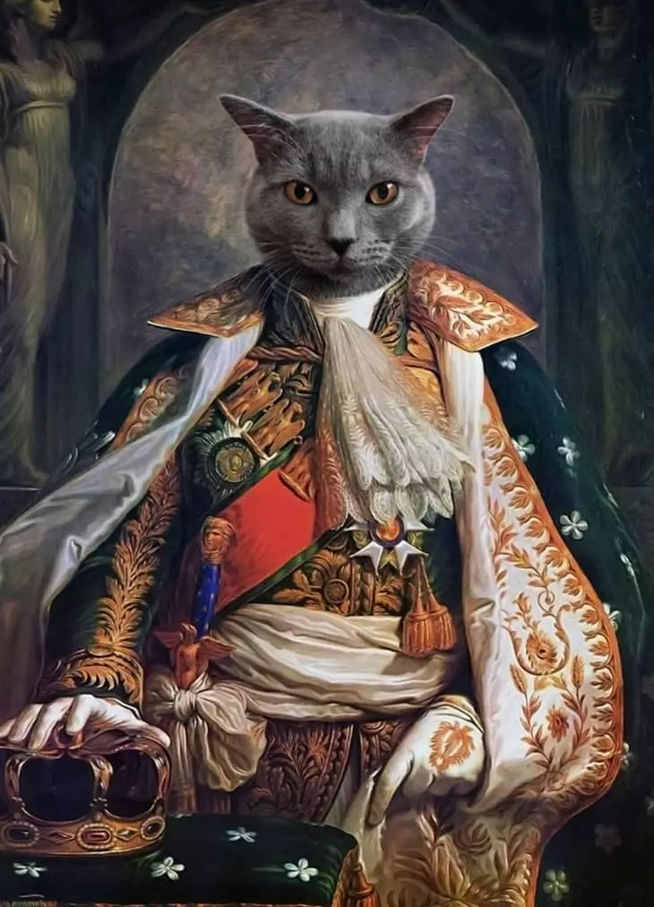 Mufananidzo weChigadzirwa: Custom Cat Portrait