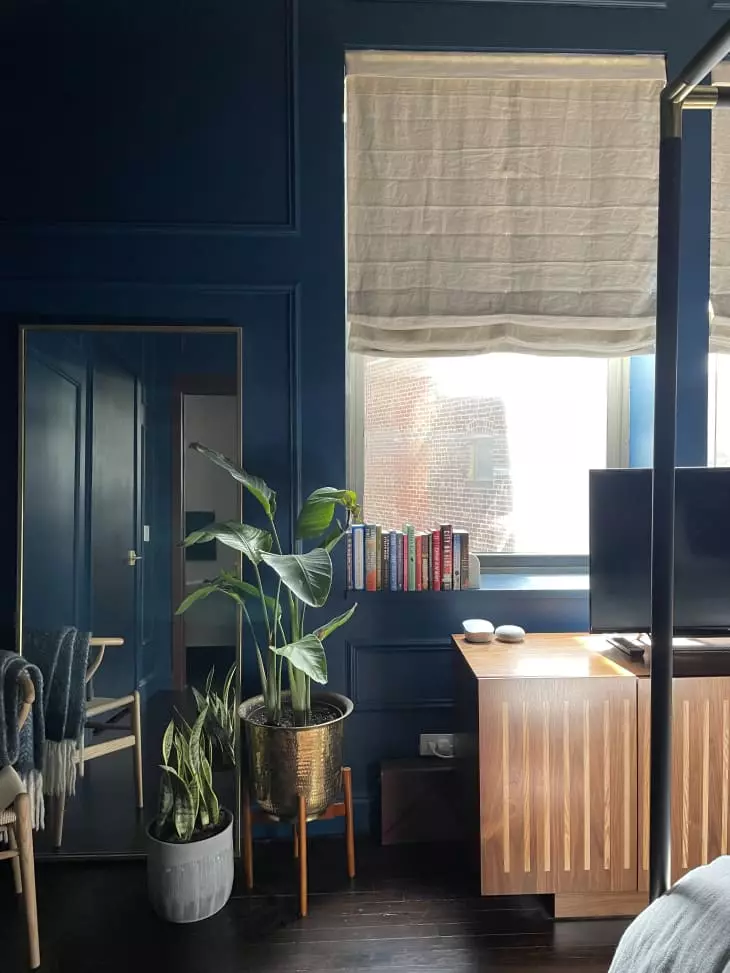 Chambre bleue avec des plantes