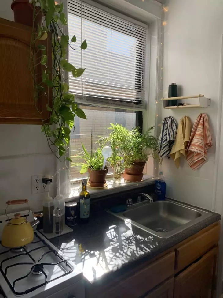 kjøkken med planter og fargerike håndklær