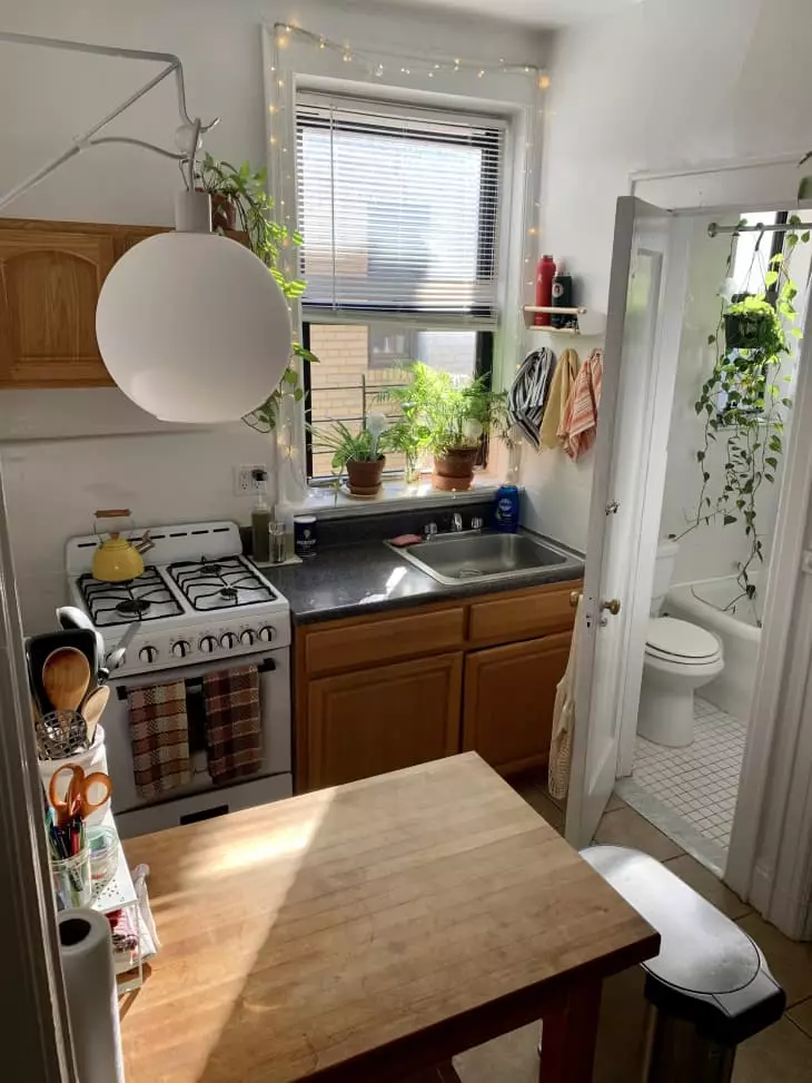 kuchyňa so stolom a rastlinami