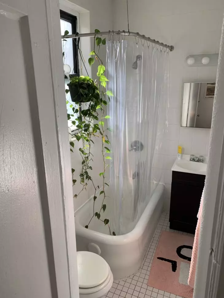biela kúpeľňa so závesnou rastlinou