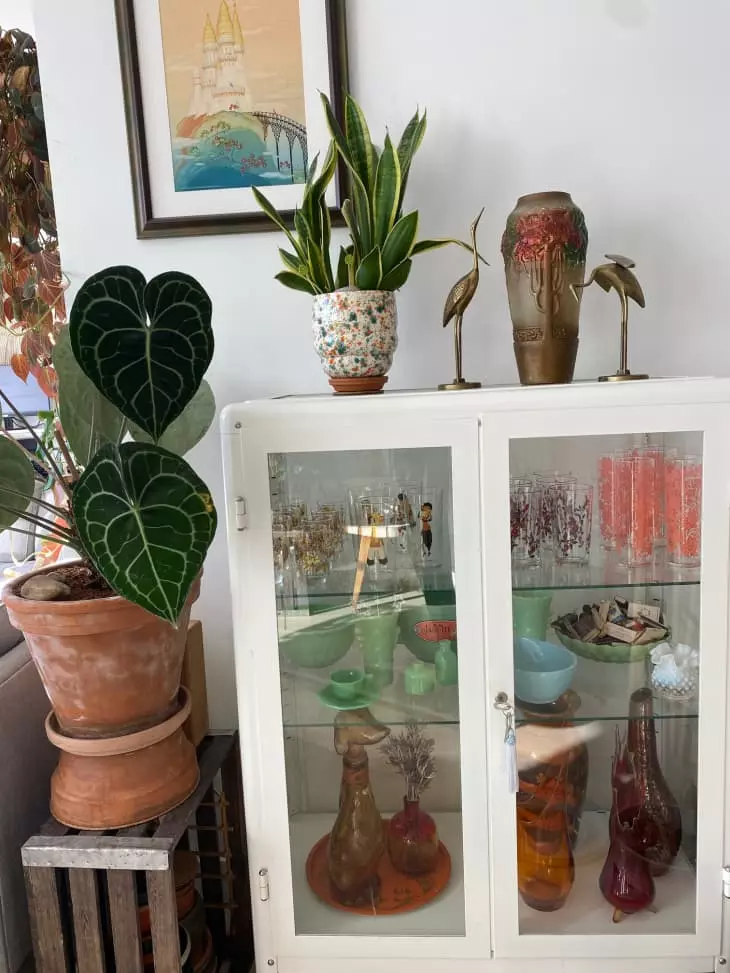 Porzellanschrank mit Glaswaren mit Pflanze daneben