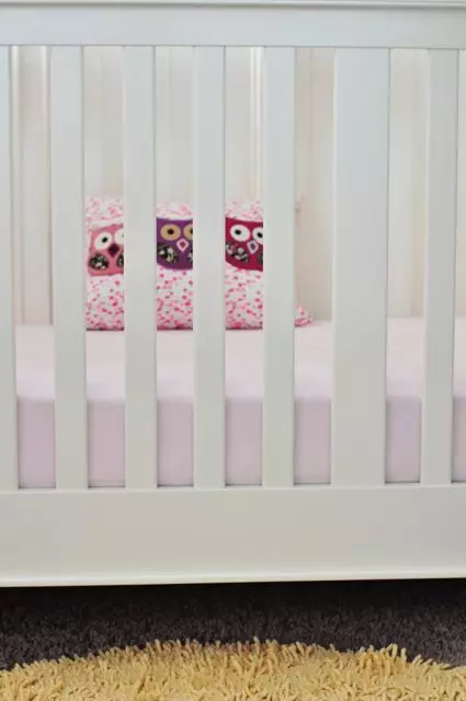 Zarokxaneya Natalie's Sweet Owl Nursery 45857_20