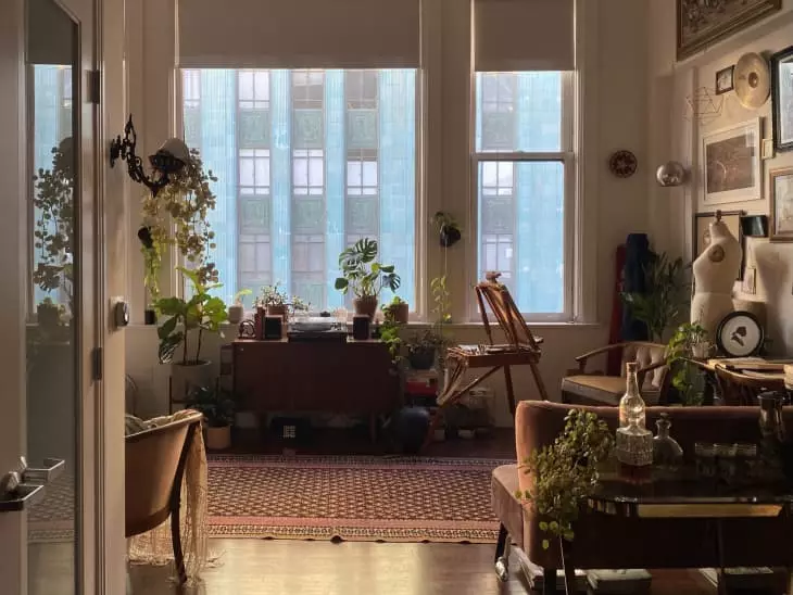 მცენარეებით სავსე მისაღები ოთახი დიდი ფანჯრებით