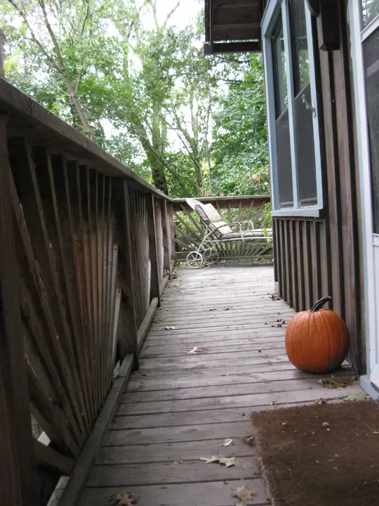 Elise's Miller Beach House in the Trees 49806_3