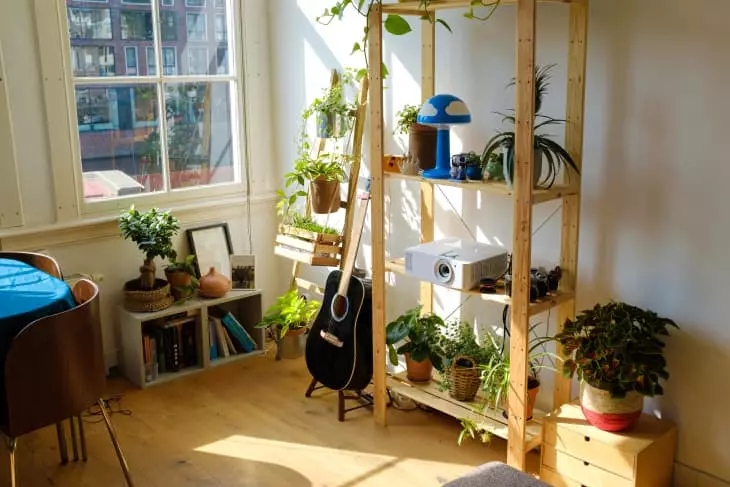 Houten etagère met planten, paddestoellamp en projector met gitaar ernaast