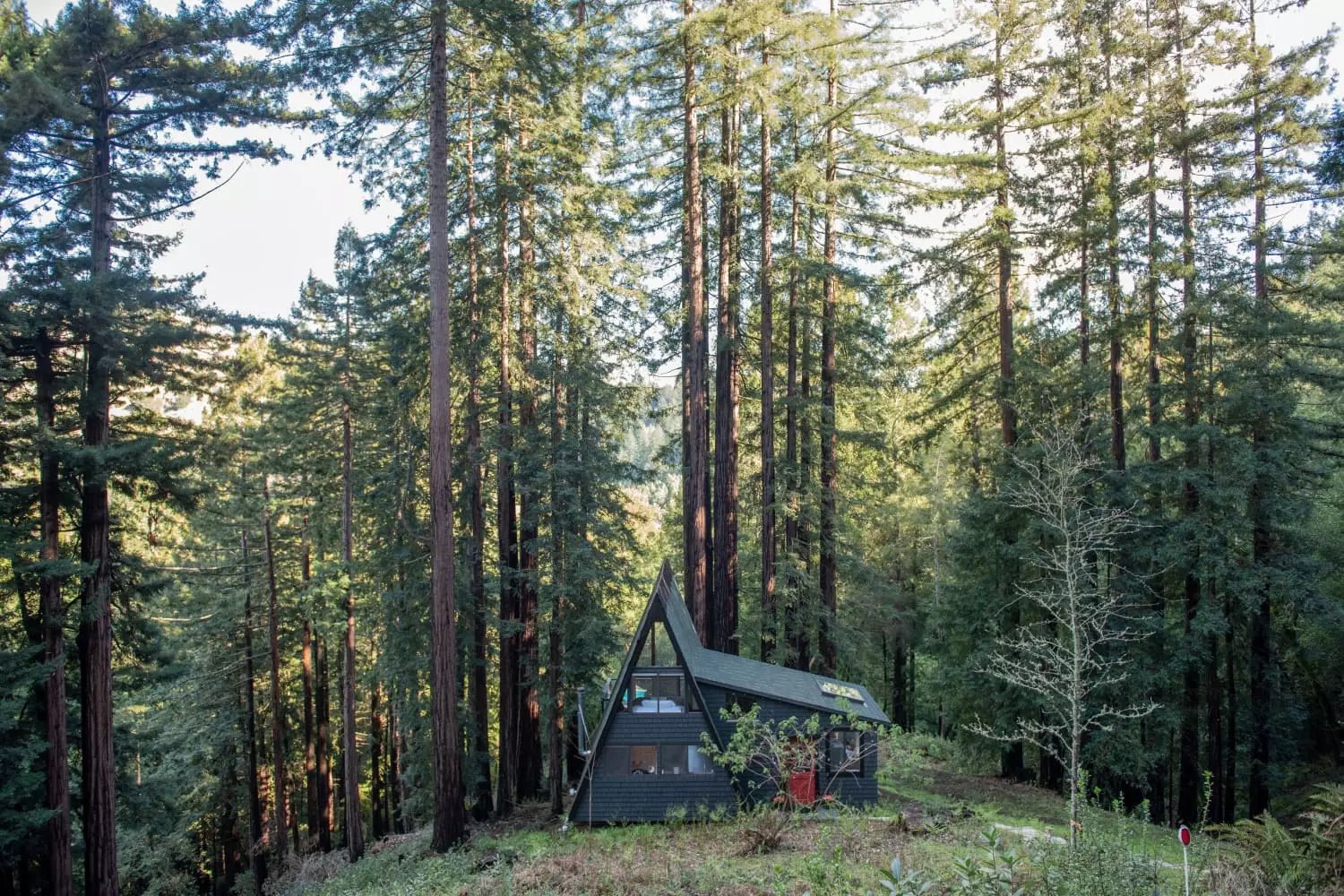 हे कॅलिफोर्निया ए-फ्रेम केबिन खरोखरच जंगलातील एक मोहक घर आहे