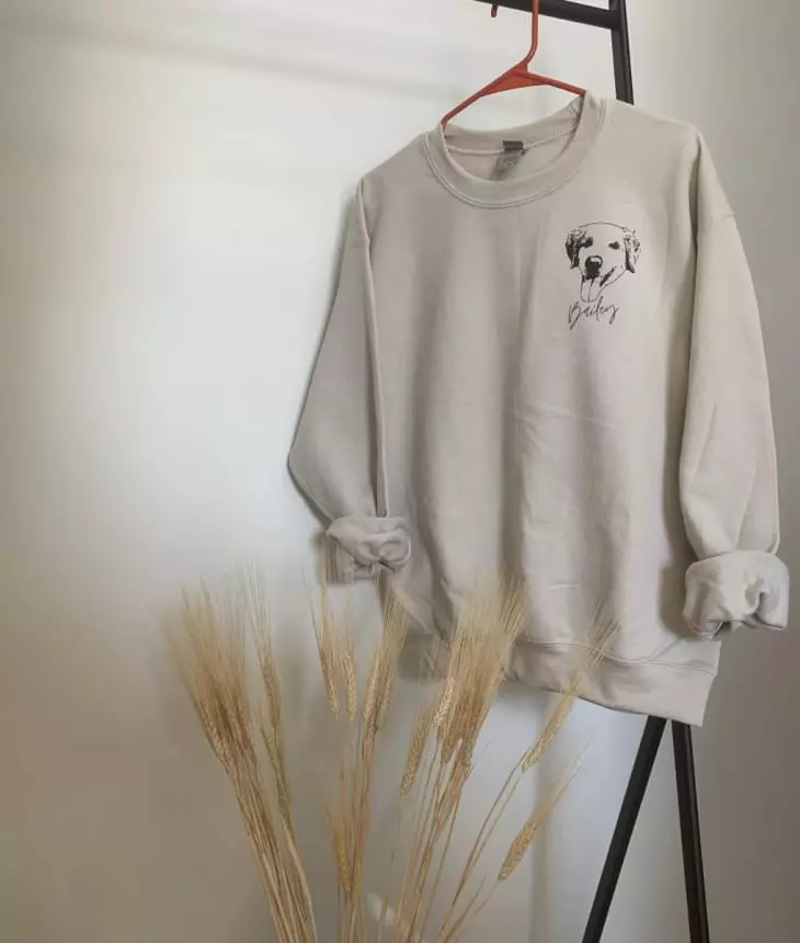 Hulagway sa Produkto: Custom Pet Sweater