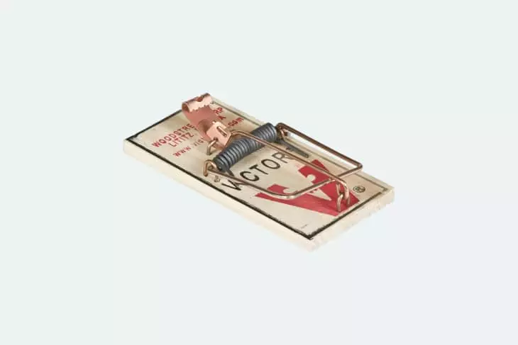 Produktôfbylding: Victor Original Mouse Traps 16 Pack