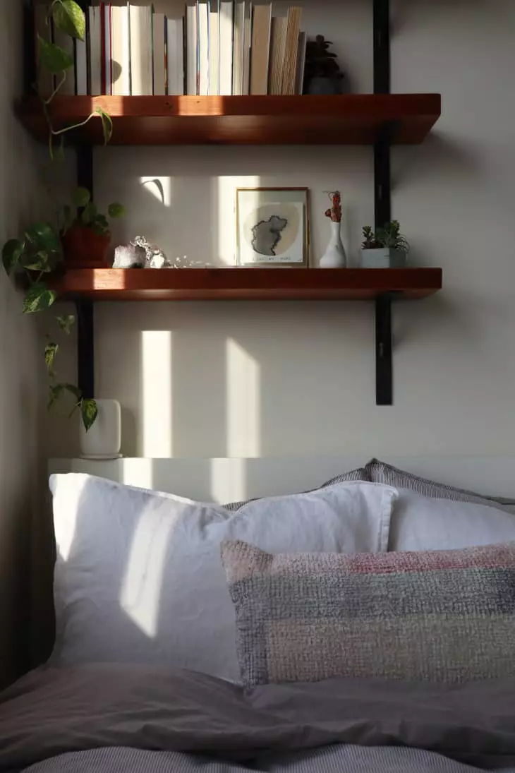 Prateleiras com livros e plantas acima da cama