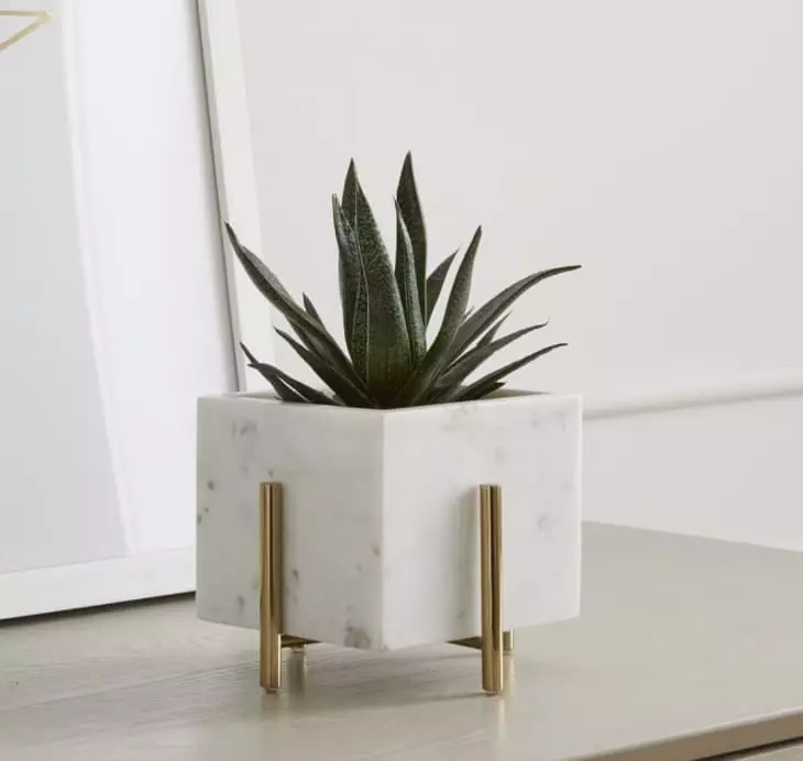 West Elm Marble Planter