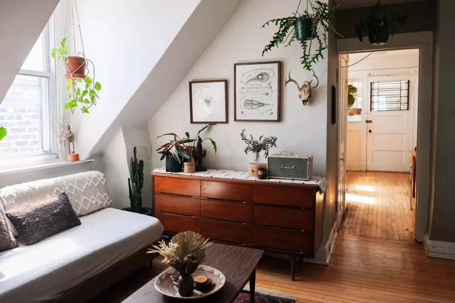 Eine kleine Wohnung in Chicago hat Oberlichter in der Küche und über 70 sehr glückliche Zimmerpflanzen