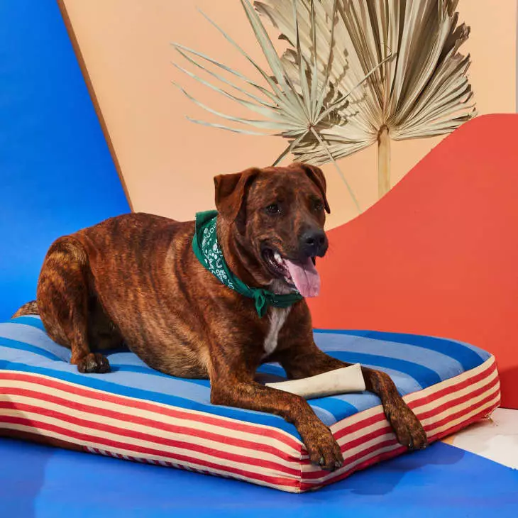 Produktôfbylding: Ziggy Dog Bed