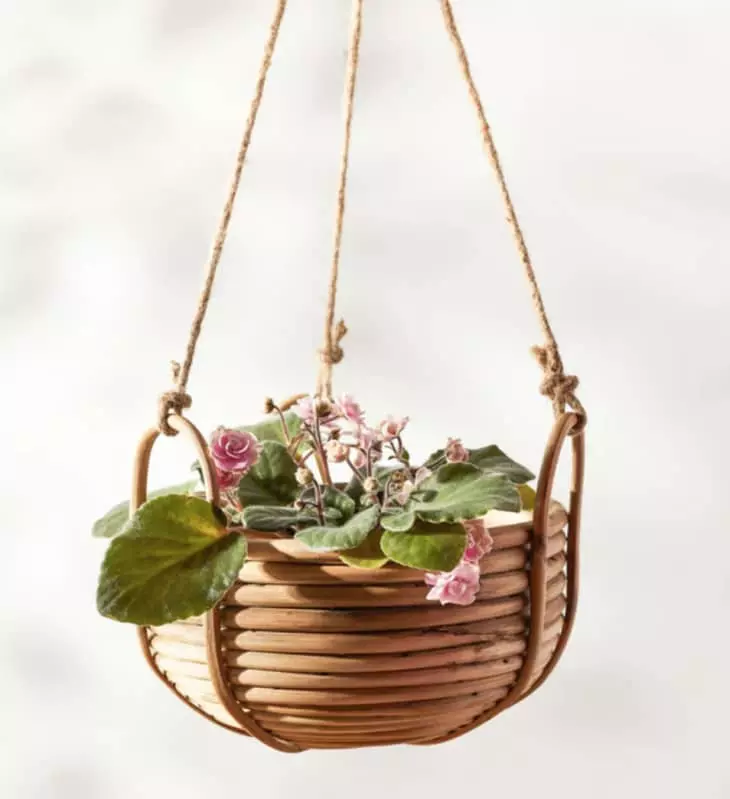 Produktbild: Brandie Hanging Basket