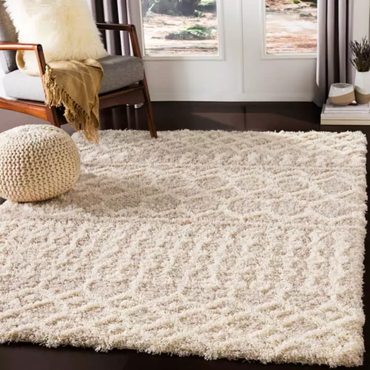 Продукт сүрөтү: Prompton Area Rug, 5'3" x 7'3"