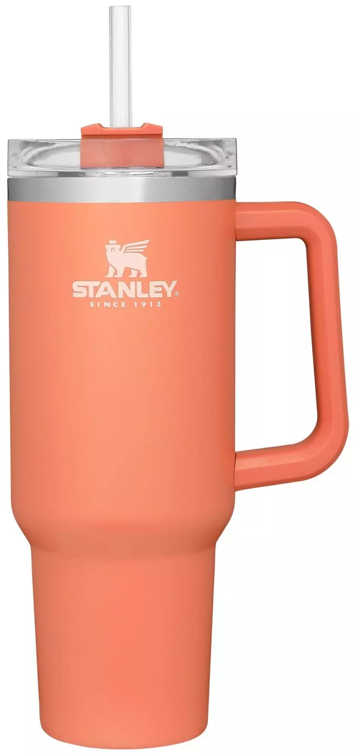 Igishushanyo cyibicuruzwa: Stanley Adventure Quencher Urugendo Tumbler, Imizabibu