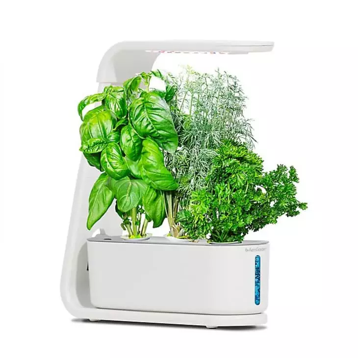 Слика на производот: AeroGarden Sprout во бело