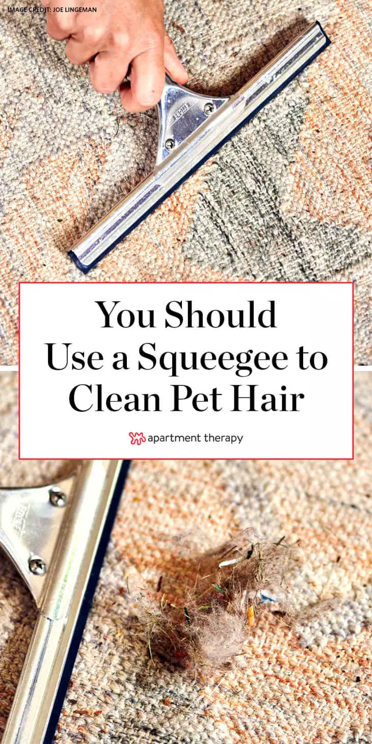 पाळीव प्राण्यांचे केस स्वच्छ करण्यासाठी तुम्ही स्क्वीजी वापरावे