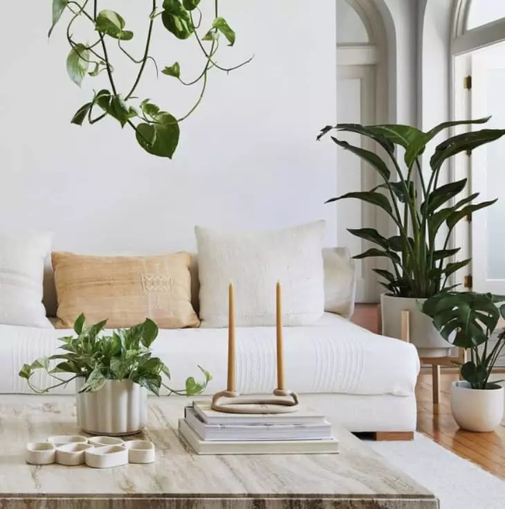 Sala toda branca com plantas do The Sill